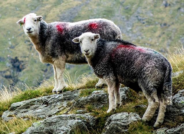 Farming in Protected Landscapes - Communities, Culture & Heritage ...