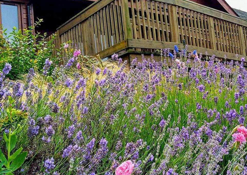 Grizebeck Community Hall (The), South Lakeland - Community buildings ...